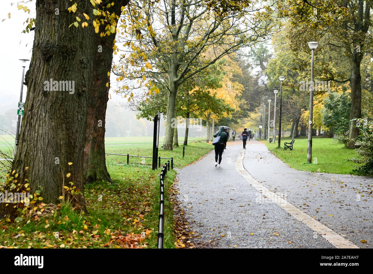 Everyday life in a city Stock Photo - Alamy