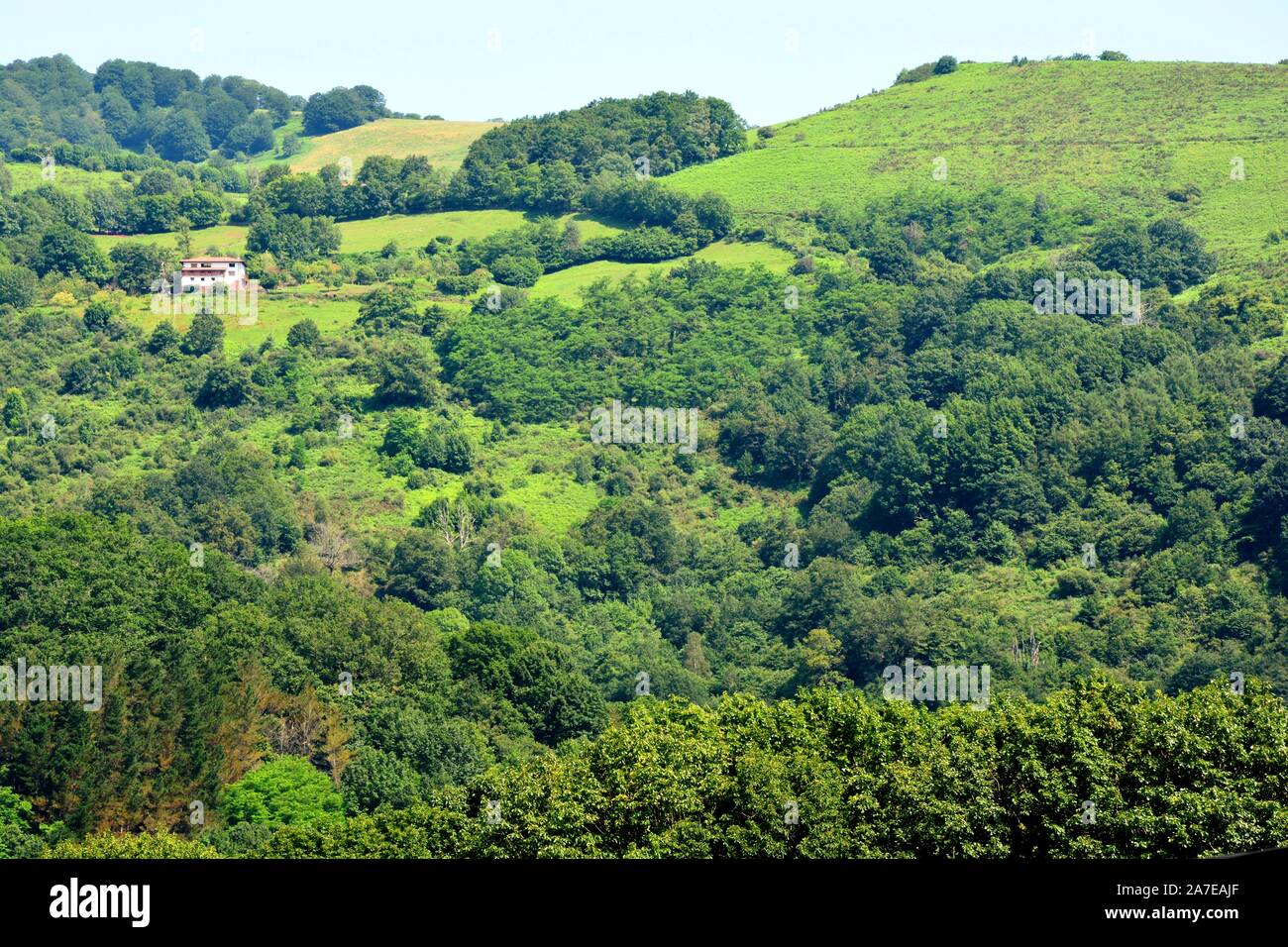 Full of trees hi-res stock photography and images - Alamy
