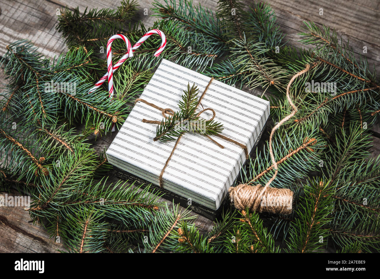 Family Tree High Resolution Stock Photography and Images - Alamy