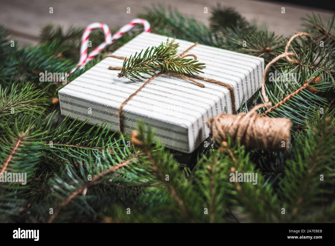 Beautiful wrapped present surrounded by pine tree branches Stock Photo ...