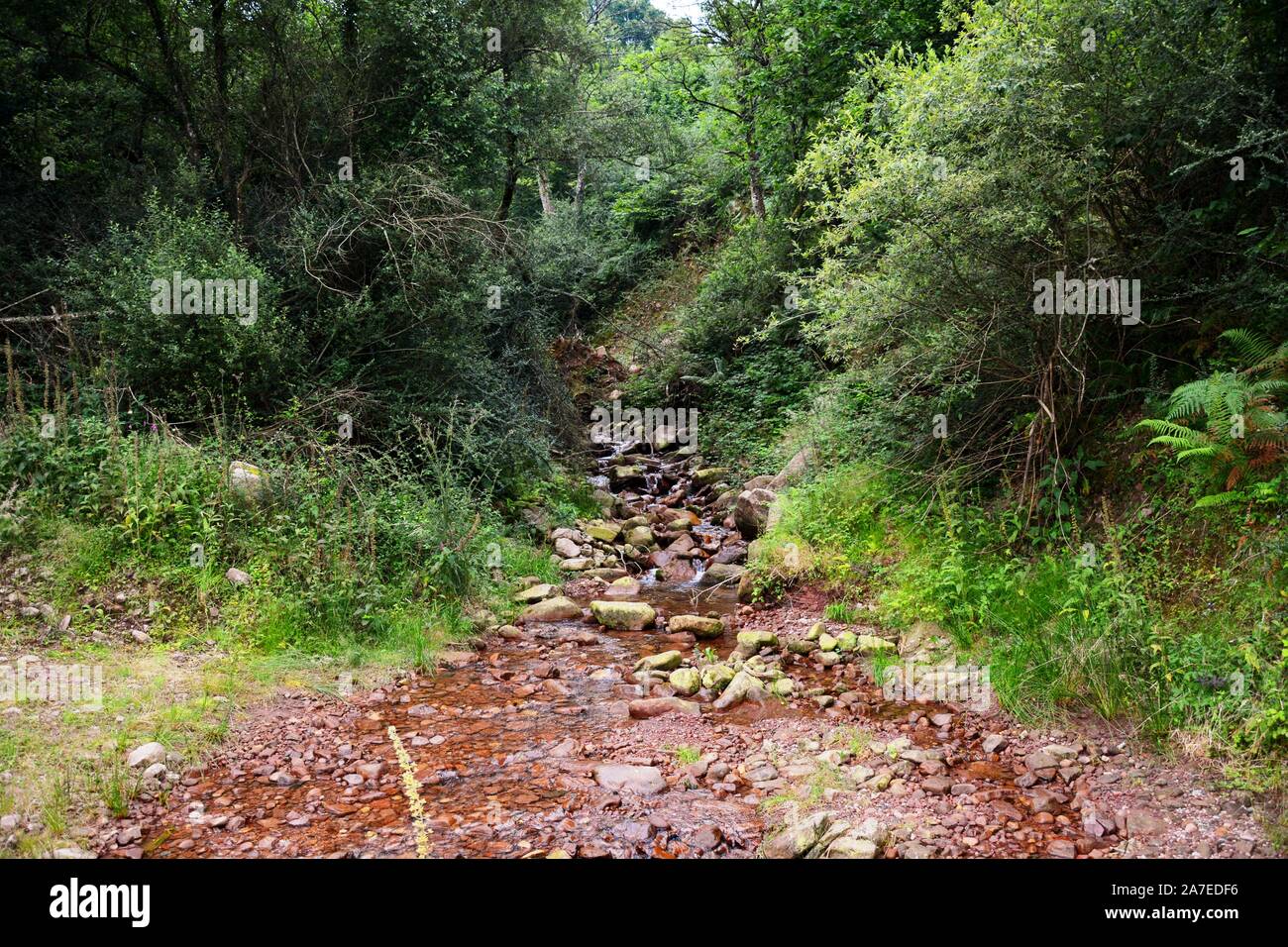 one stream with some water and rocks Stock Photo - Alamy