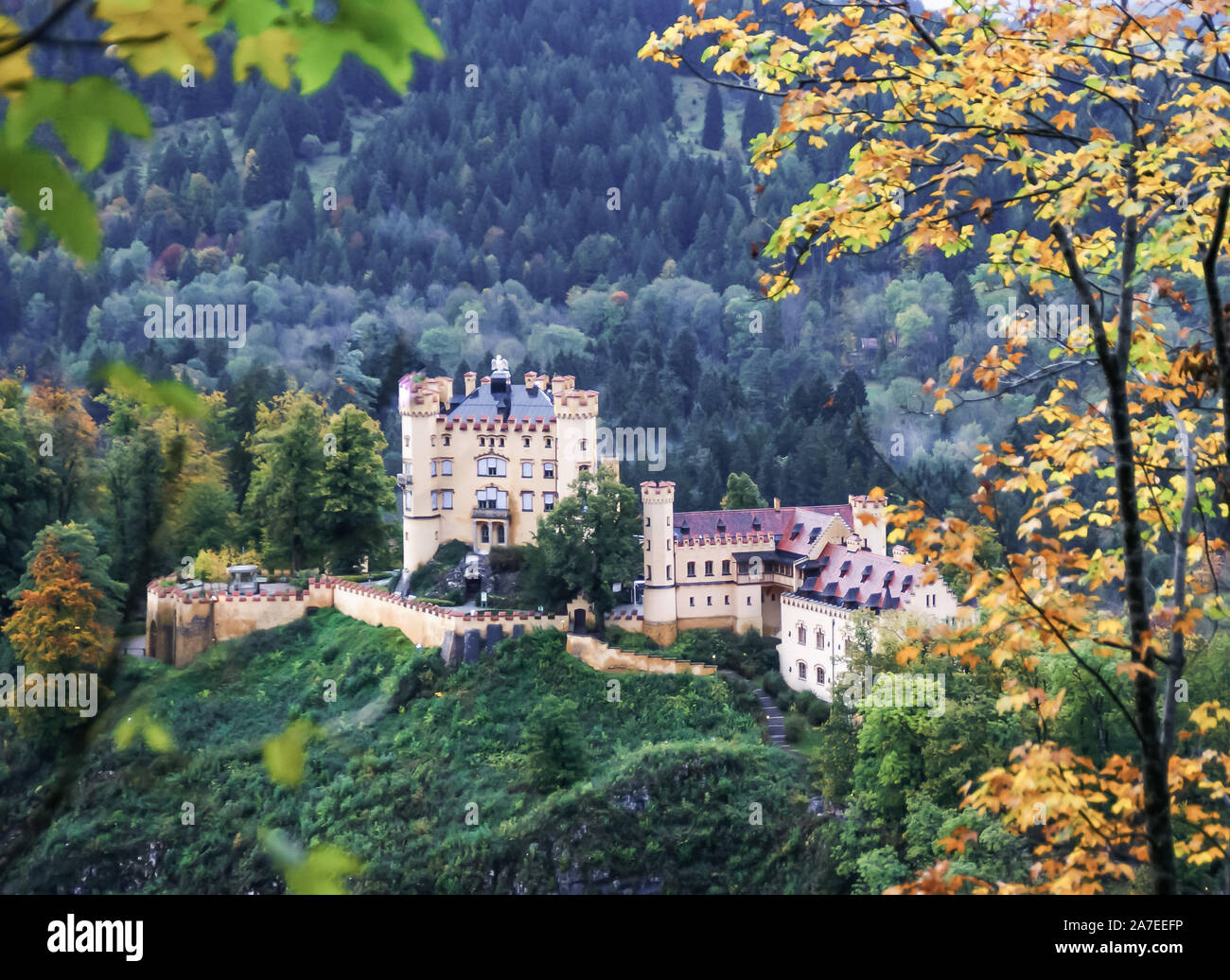 Castle surrounded by forest hi-res stock photography and images - Alamy
