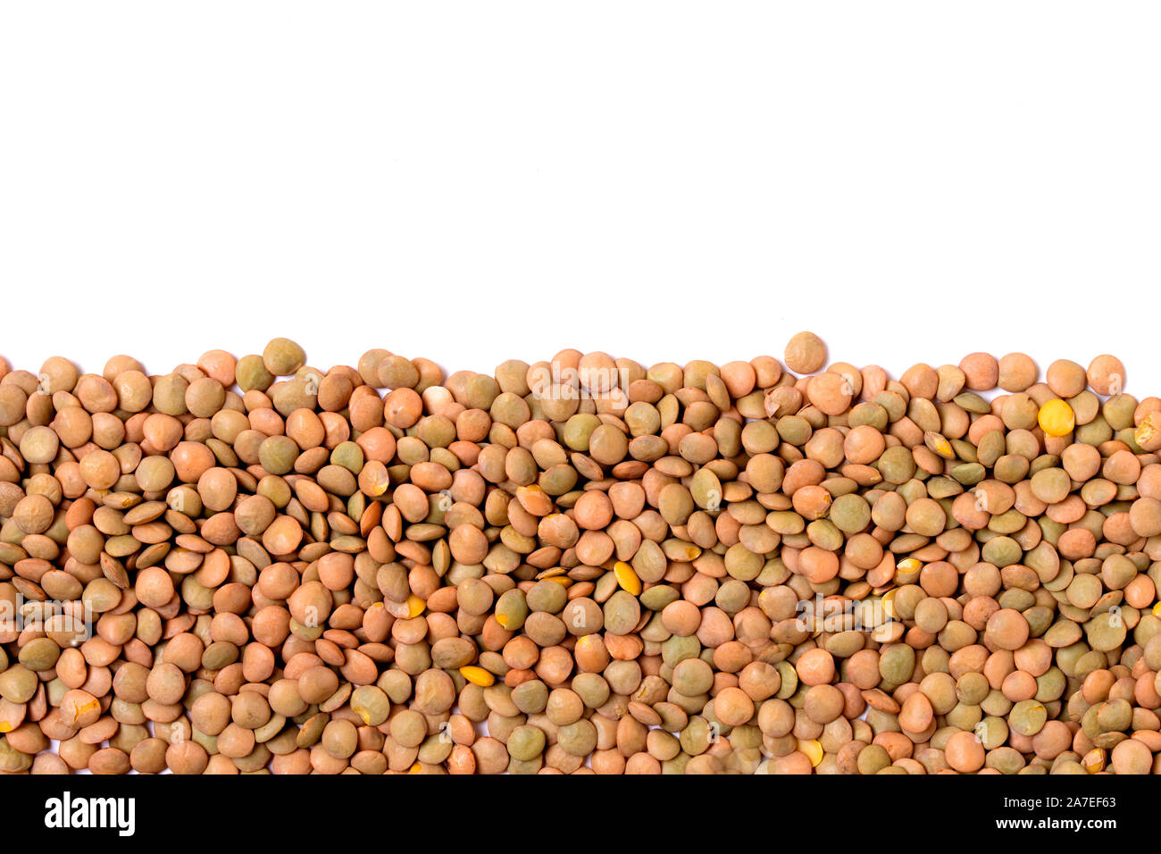 Lentils Isolated on white background. Straight line across middle ...