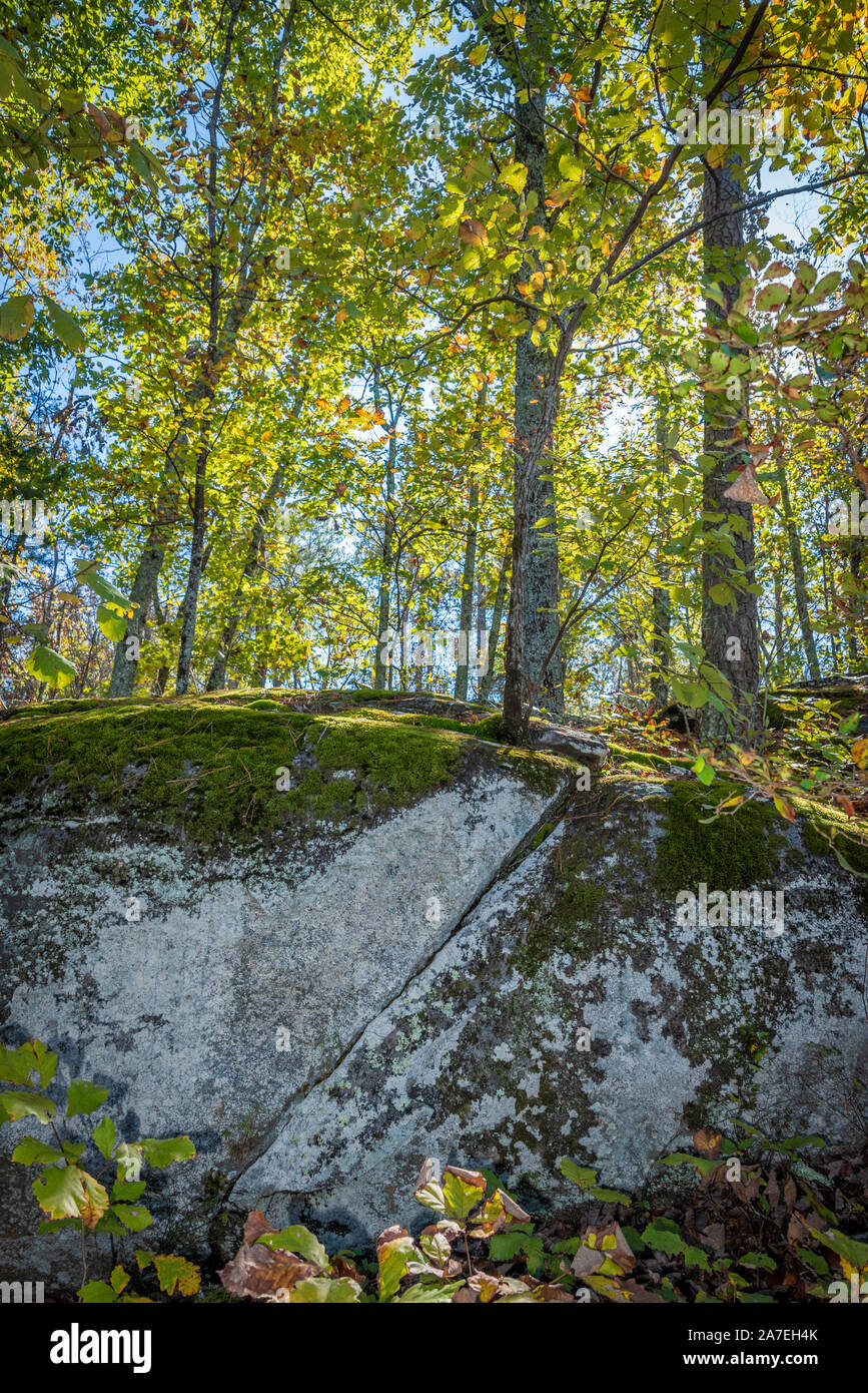 Hiking trail view of granite landscape at Panola Mountain State Park ...