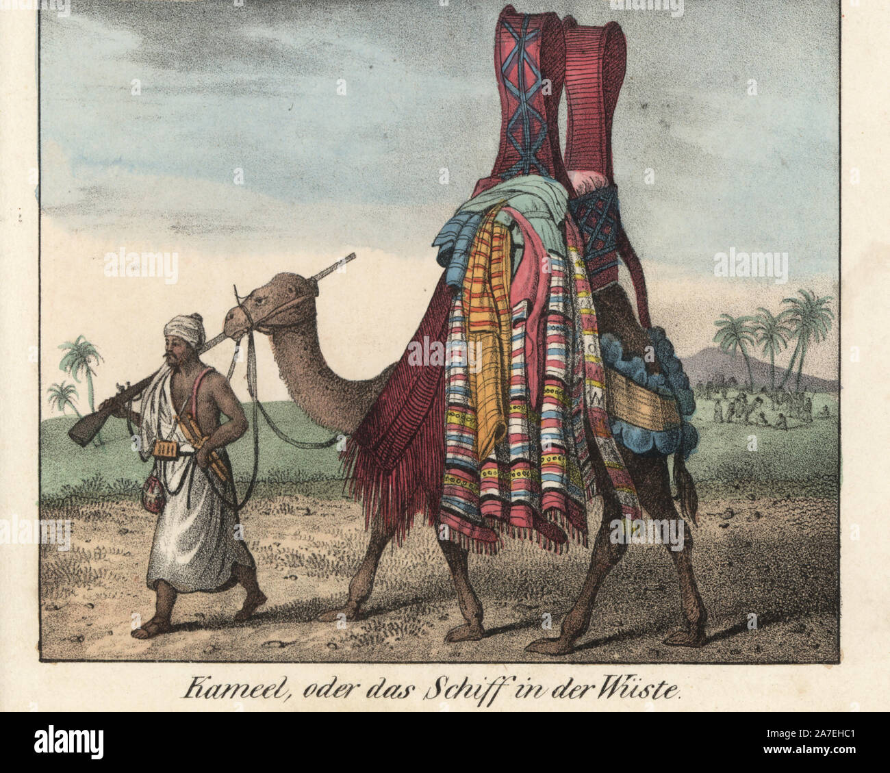 Man with musket leading a camel laden with saddle, blankets ...