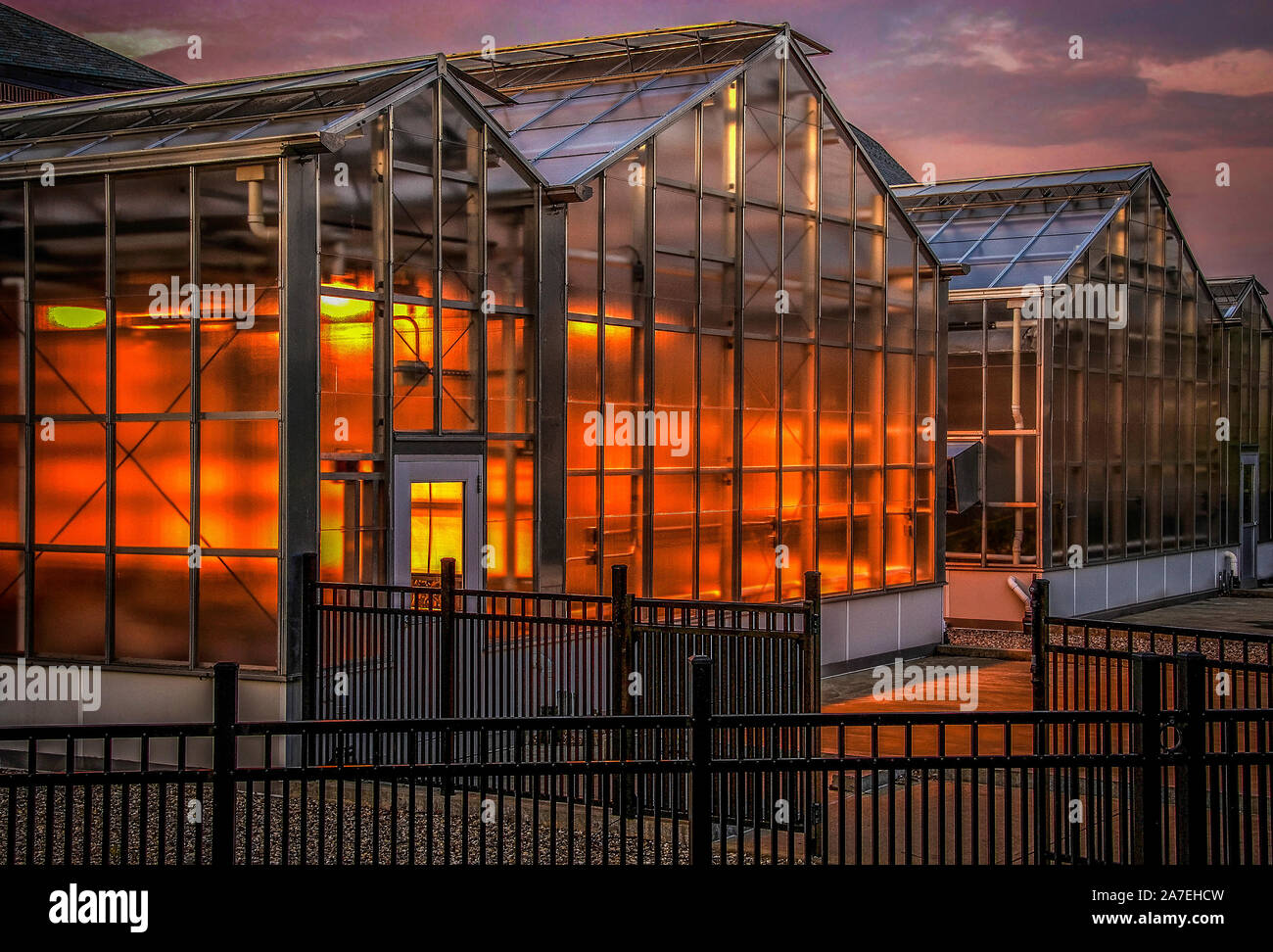 University modern greenhouses hi-res stock photography and images - Alamy