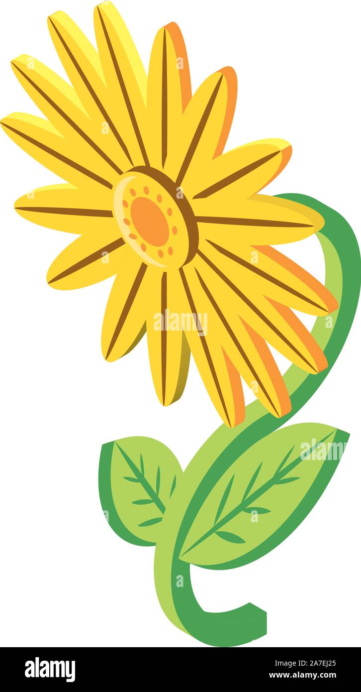 beautiful sunflower on white background vector illustration design ...