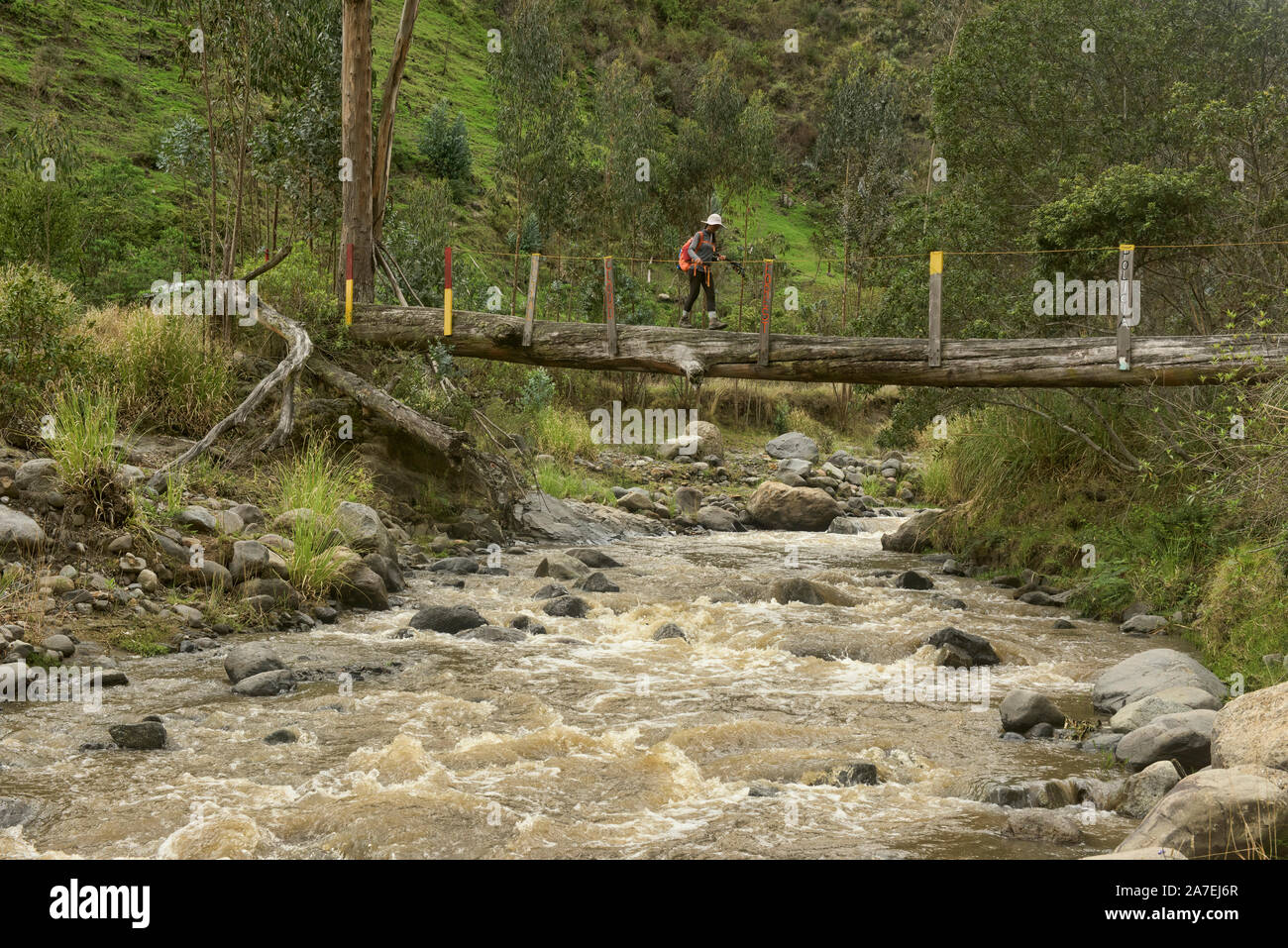 Log bridge crossing over the Rio Toachi along the Quilotoa Loop Trek ...