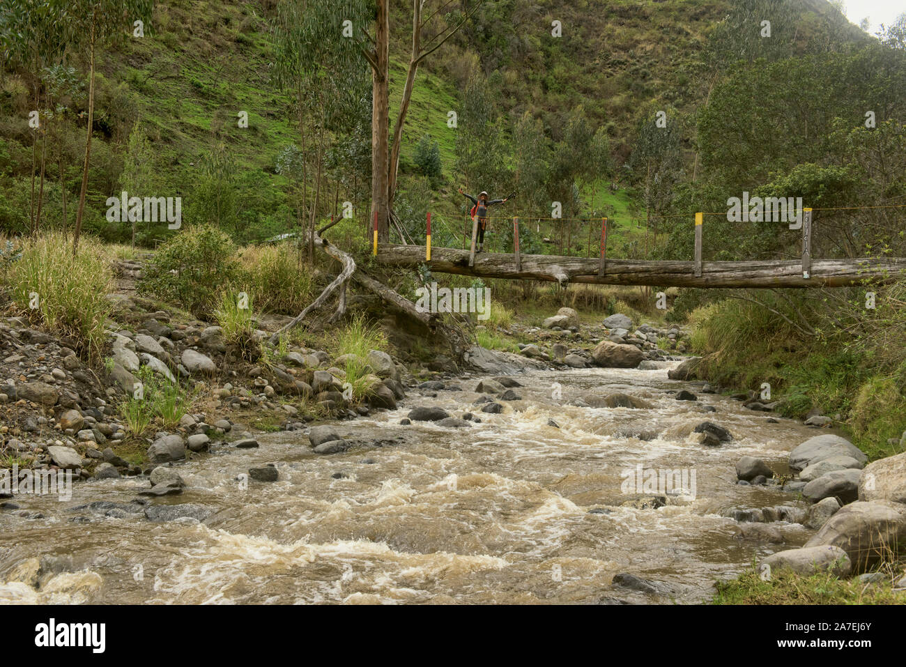 Log bridge crossing over the Rio Toachi along the Quilotoa Loop Trek ...