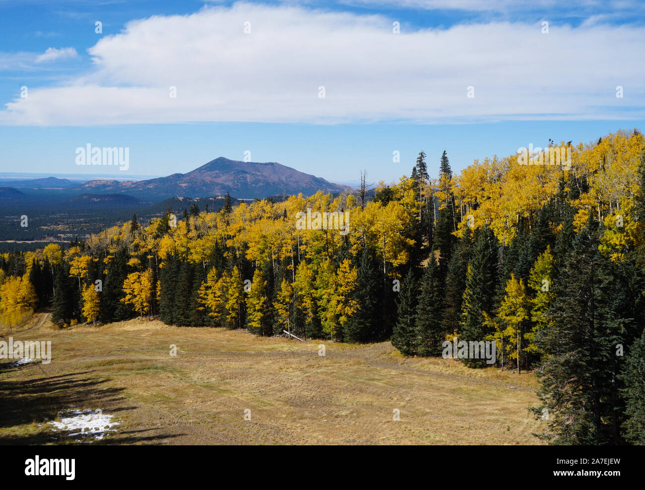 Trees turning colors in fall hi-res stock photography and images - Alamy