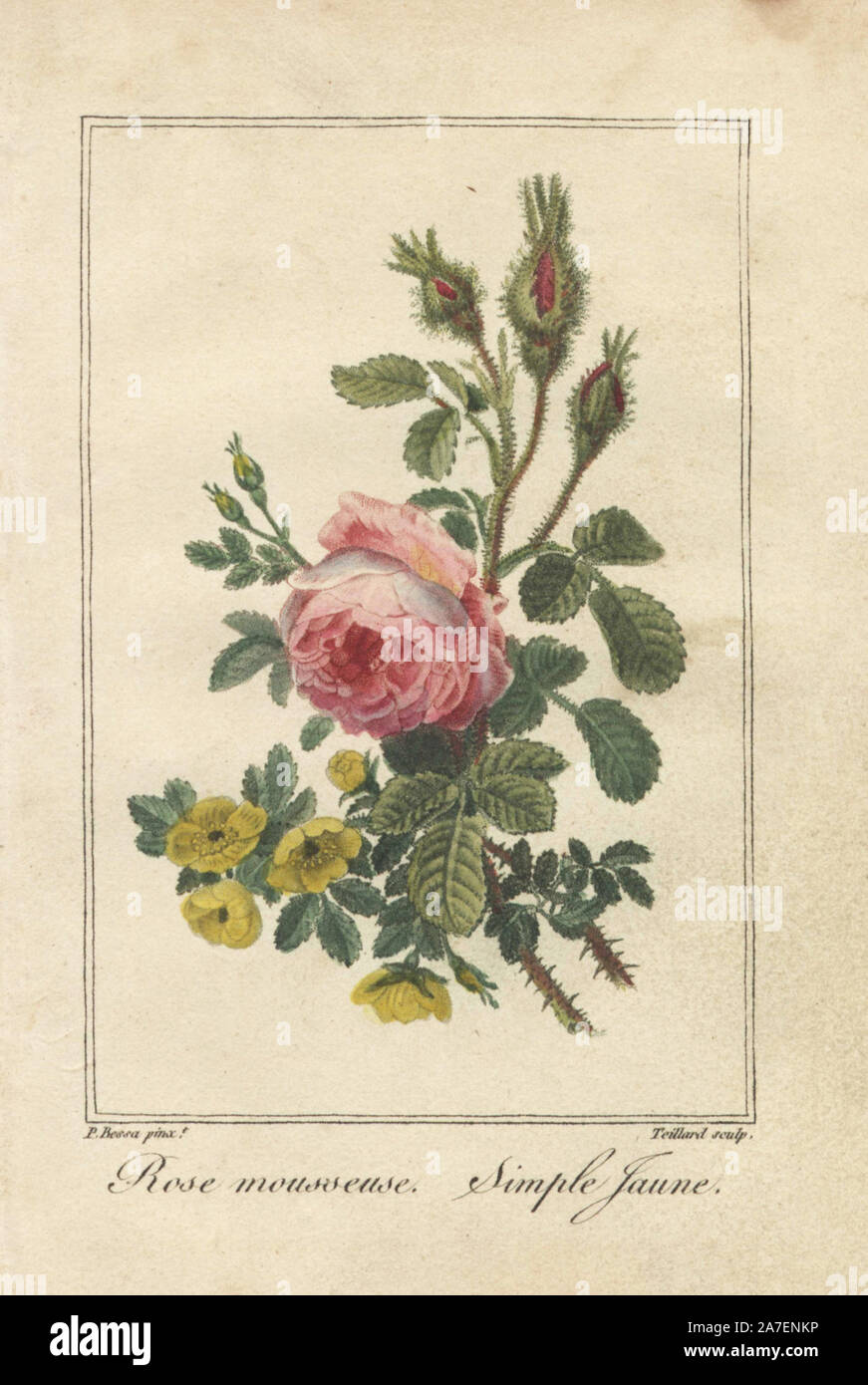 Histoire simple hi-res stock photography and images - Alamy