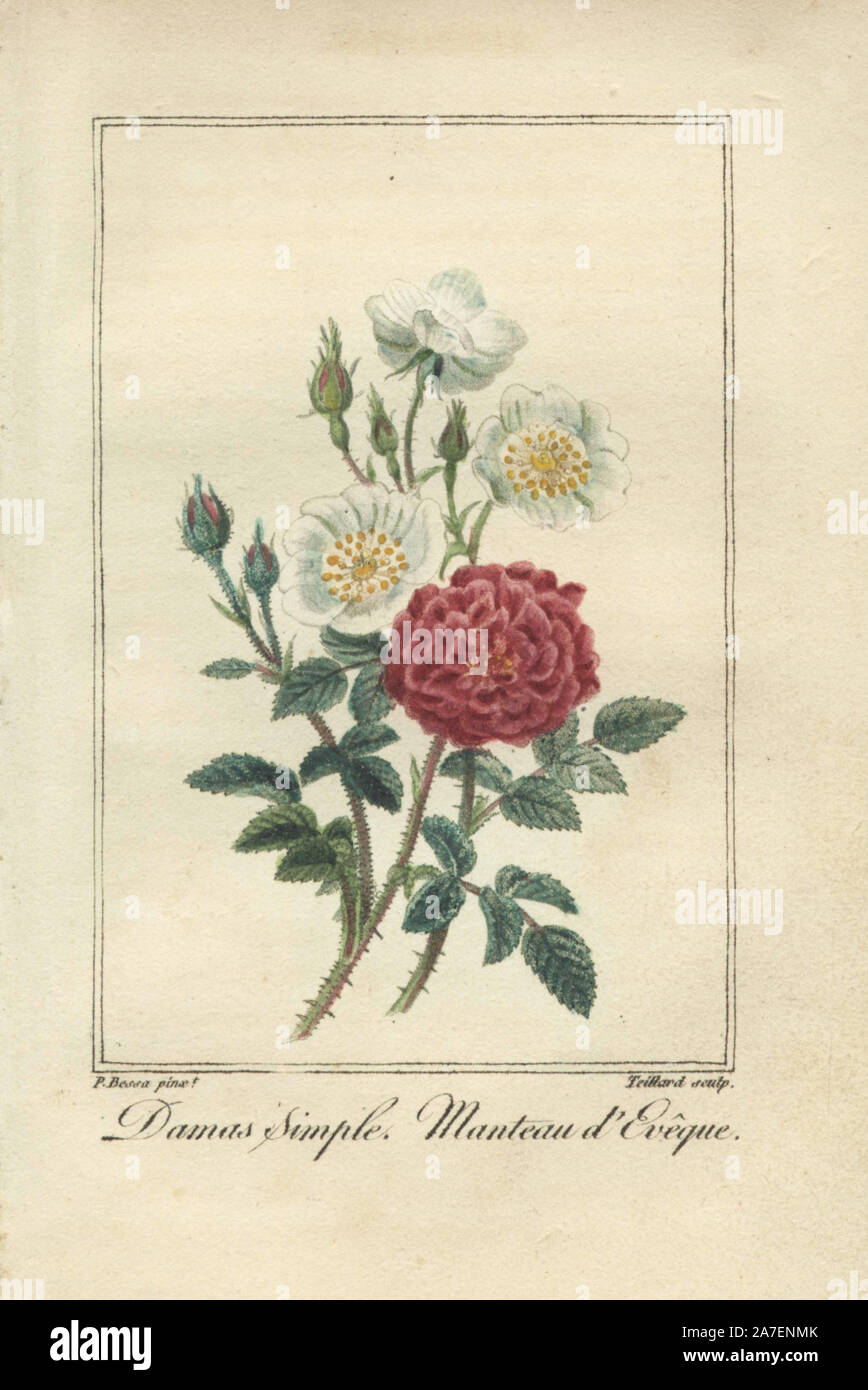 Histoire simple hi-res stock photography and images - Alamy