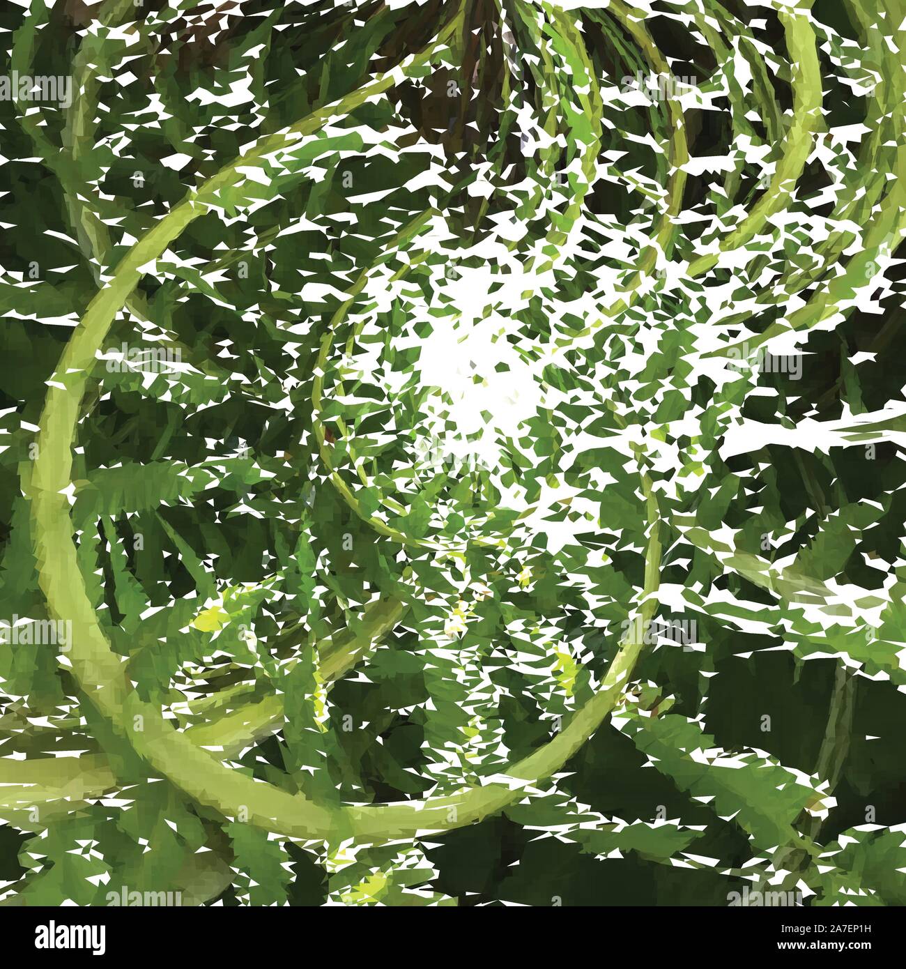 Abstract spiral of fern Stock Vector Image & Art - Alamy