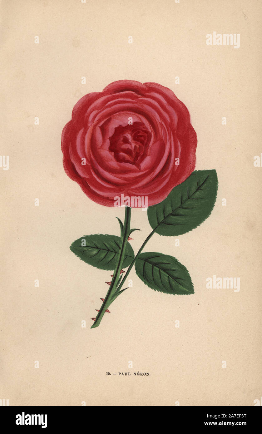 Paul forney hi-res stock photography and images - Alamy