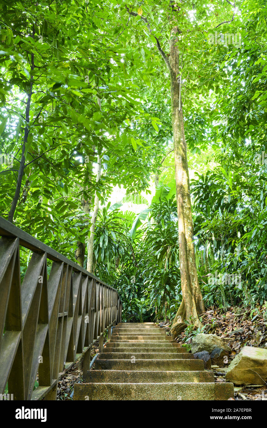 Kl forest eco park hi-res stock photography and images - Alamy