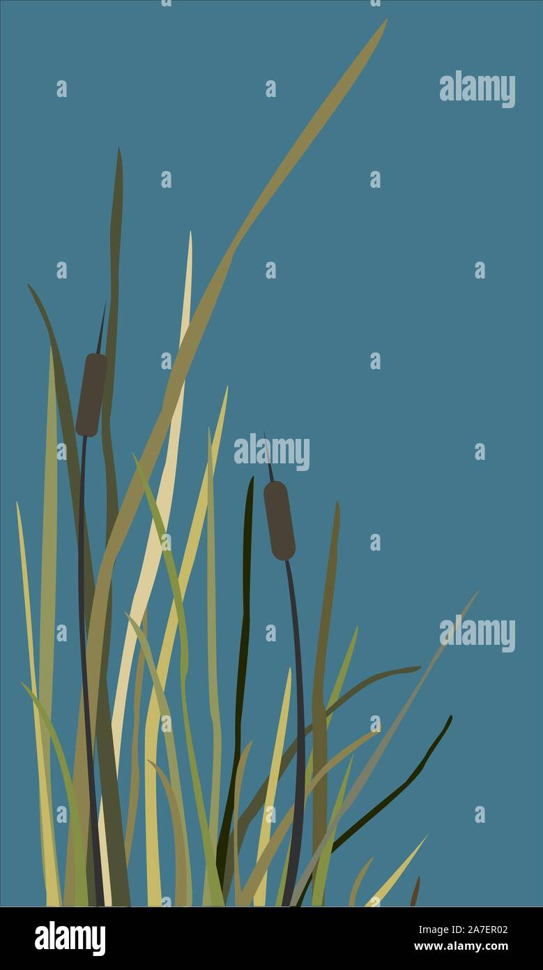 Bush of Swamp Reed on a Lake. vector Illustration Stock Vector Image ...