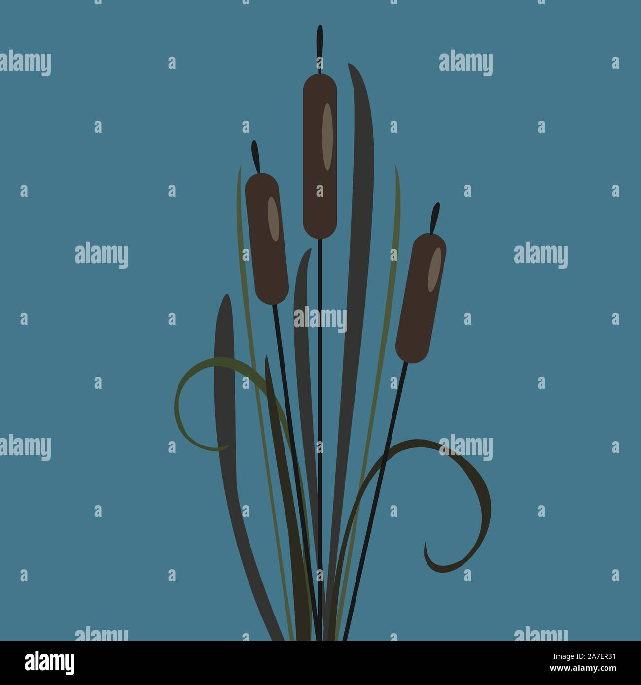 Swamp sedge Stock Vector Images - Alamy