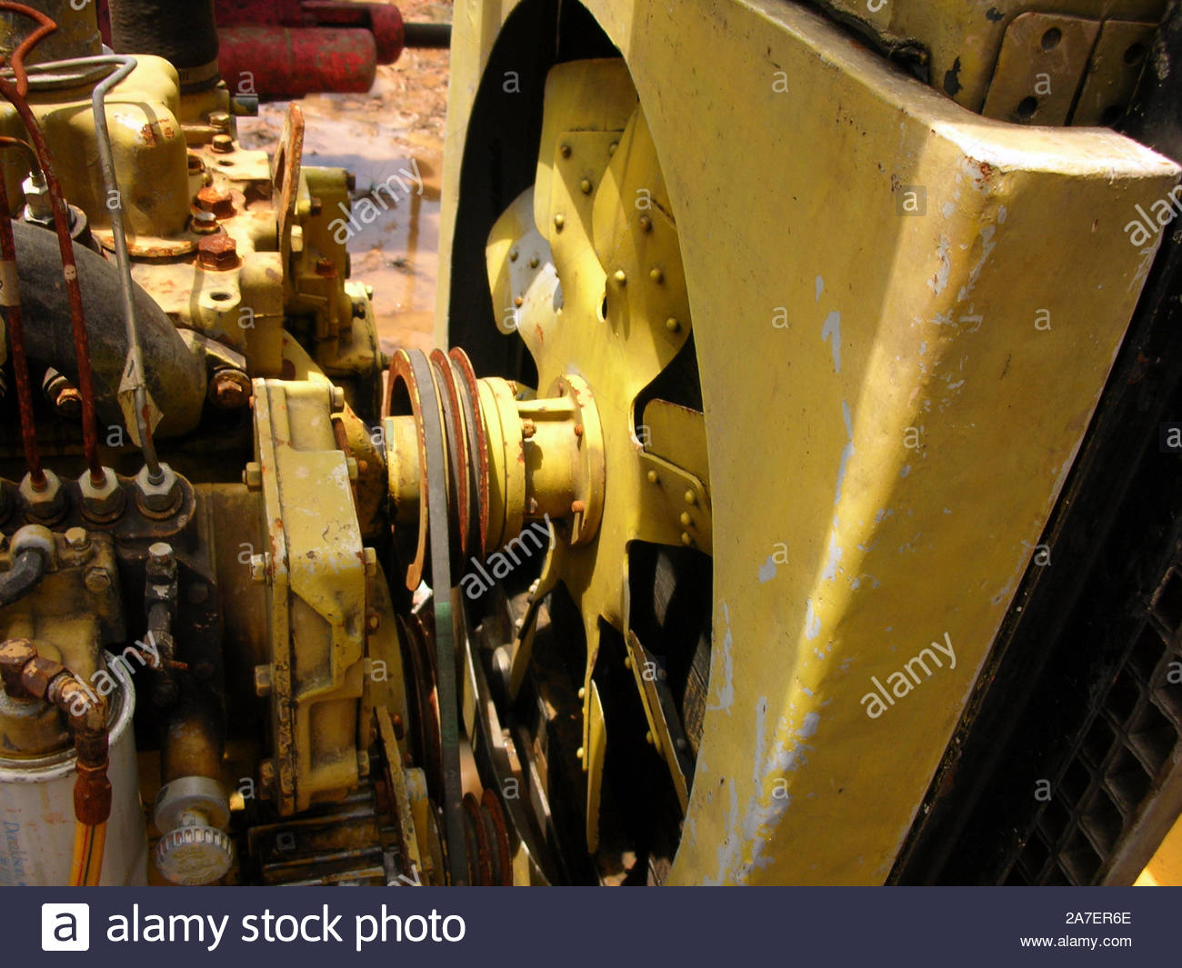 Electric Power Horse High Resolution Stock Photography and Images - Alamy