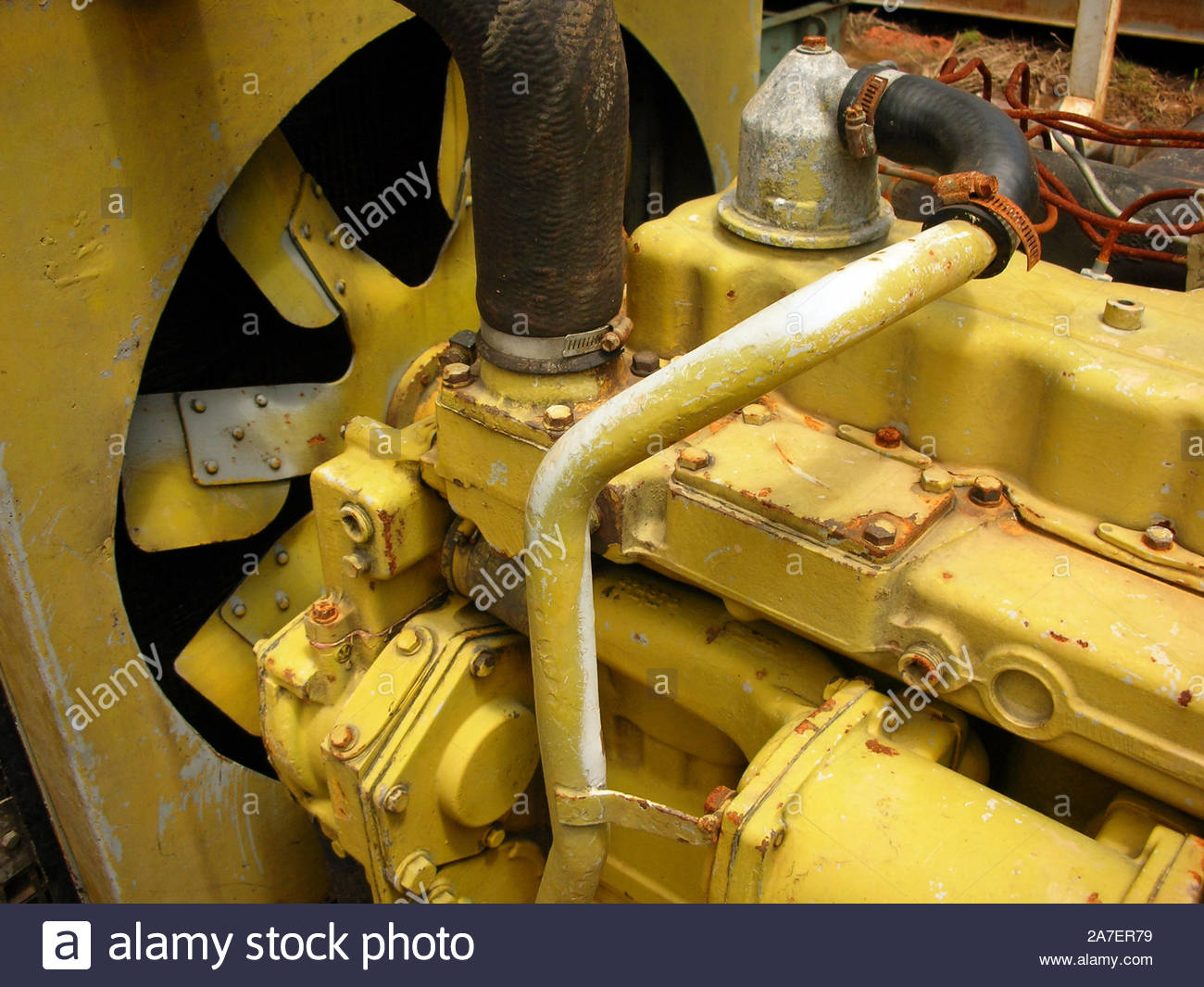 Electric Power Horse High Resolution Stock Photography and Images - Alamy