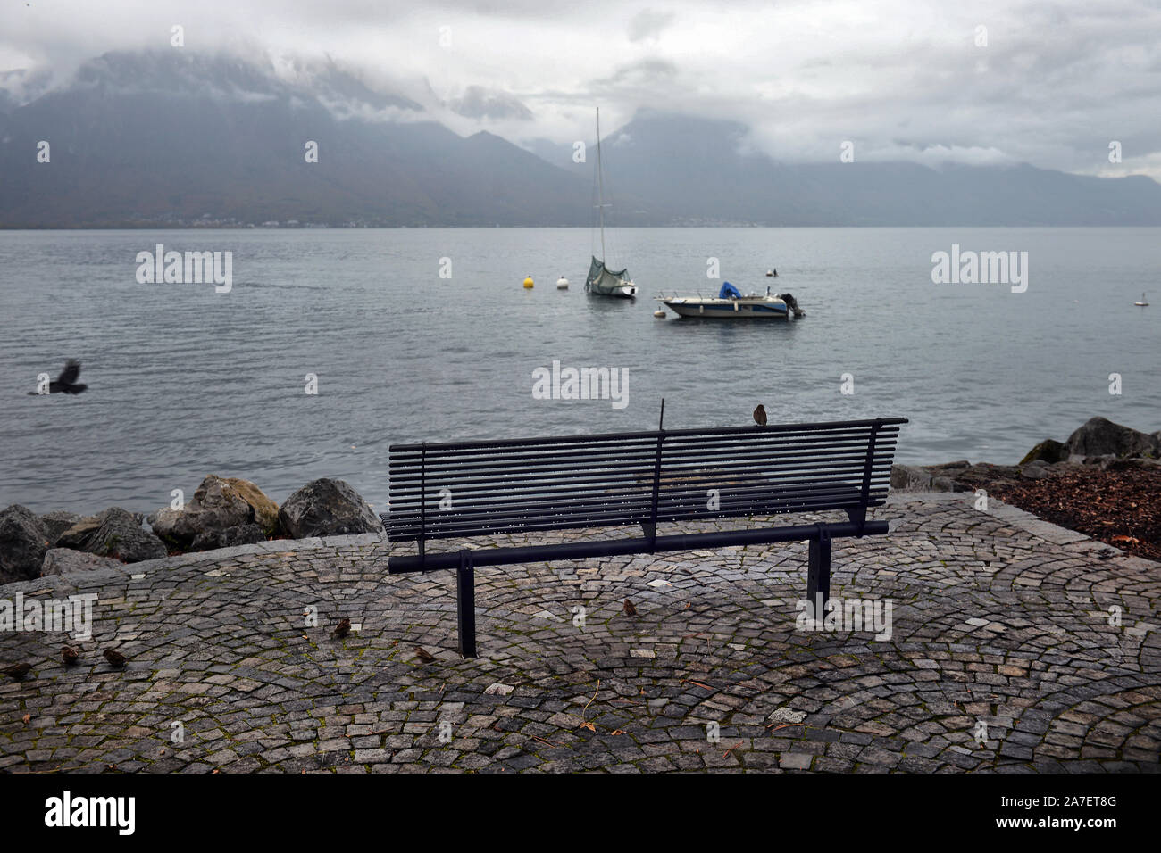 Bay geneva on sunny hi-res stock photography and images - Alamy