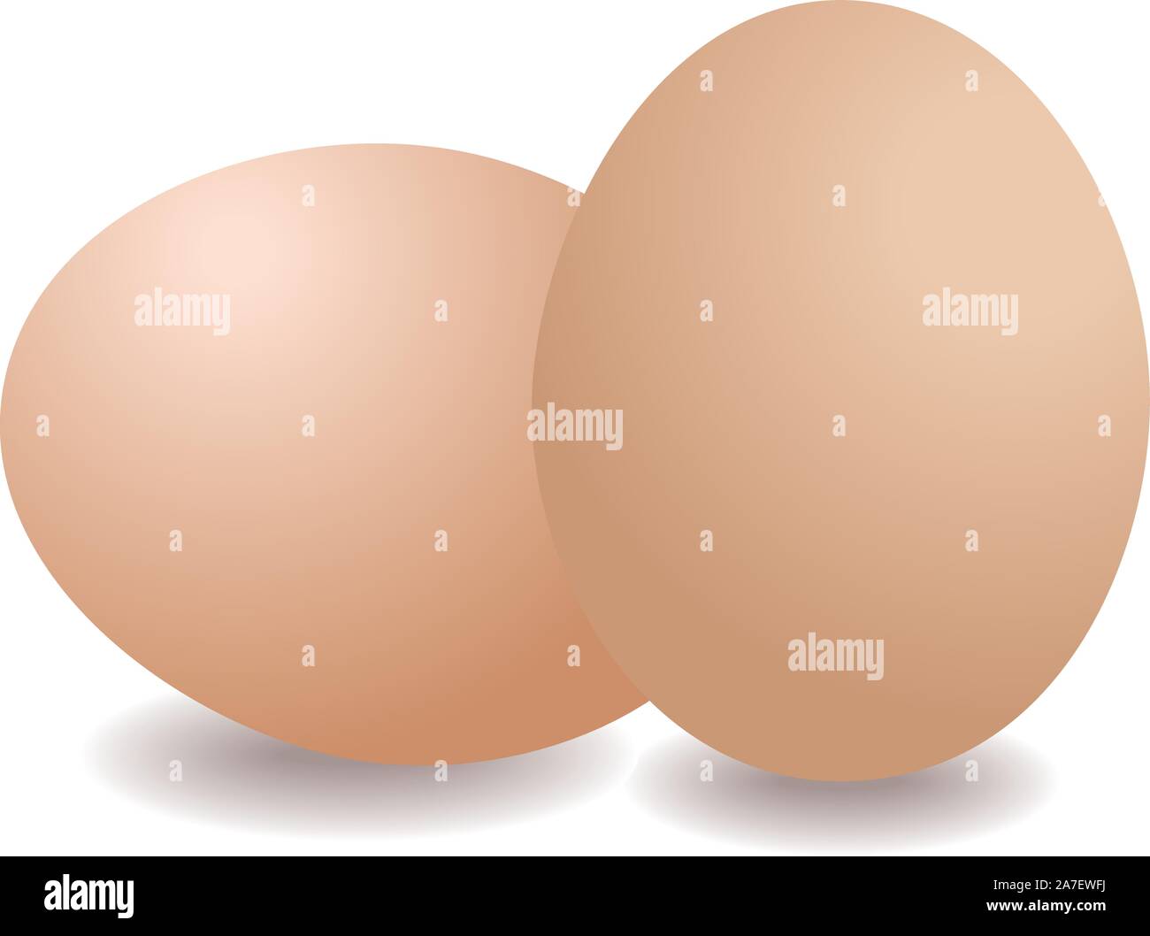 Illustration of two eggs isolated on white background Stock Vector ...