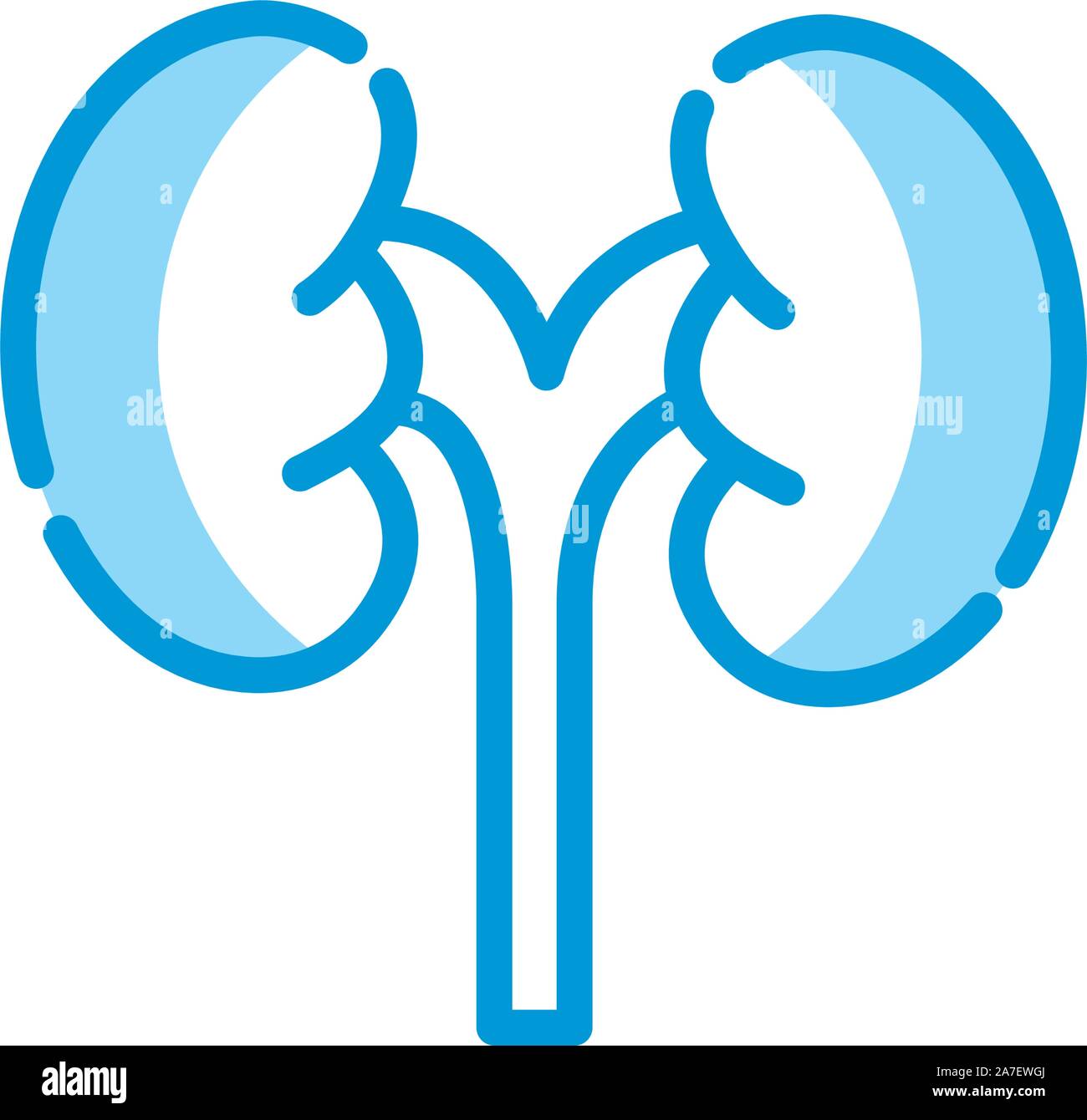 Isolated medical kidneys icon vector design Stock Vector Image & Art ...