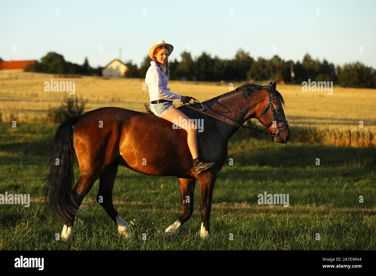 Horse without rider hi-res stock photography and images - Alamy