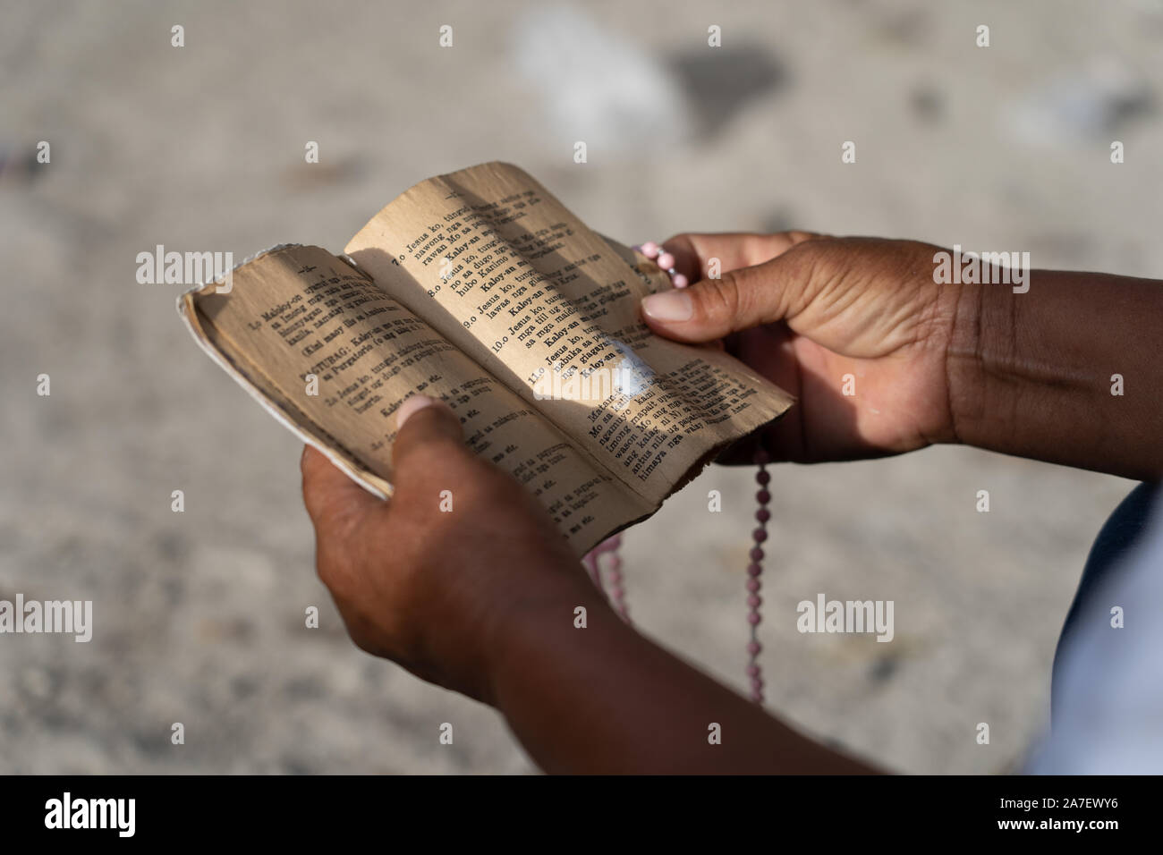 A woman reads from a prayer book within Calamba cemetery,Cebu ...