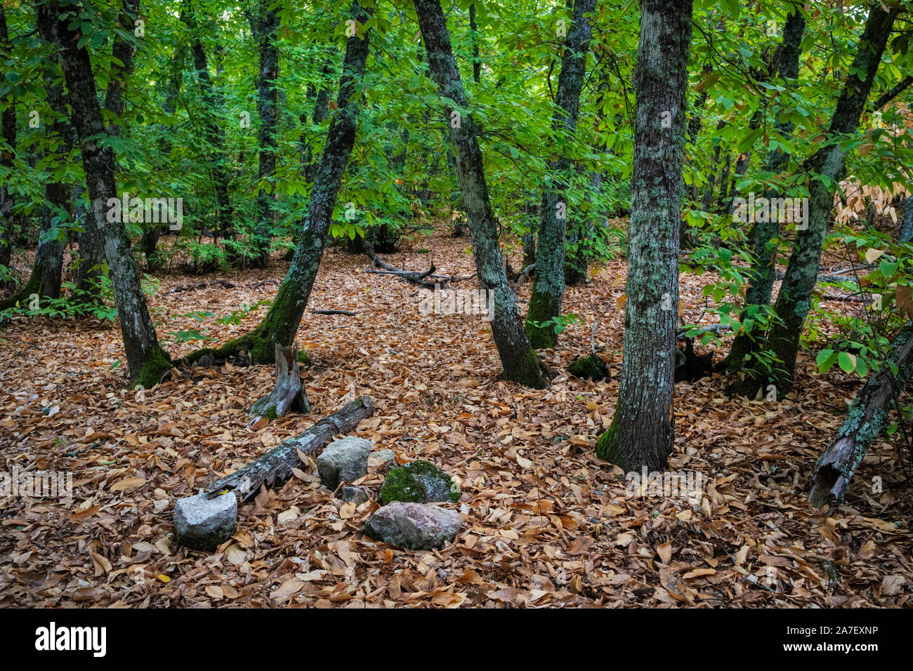 Montanchez High Resolution Stock Photography and Images - Alamy