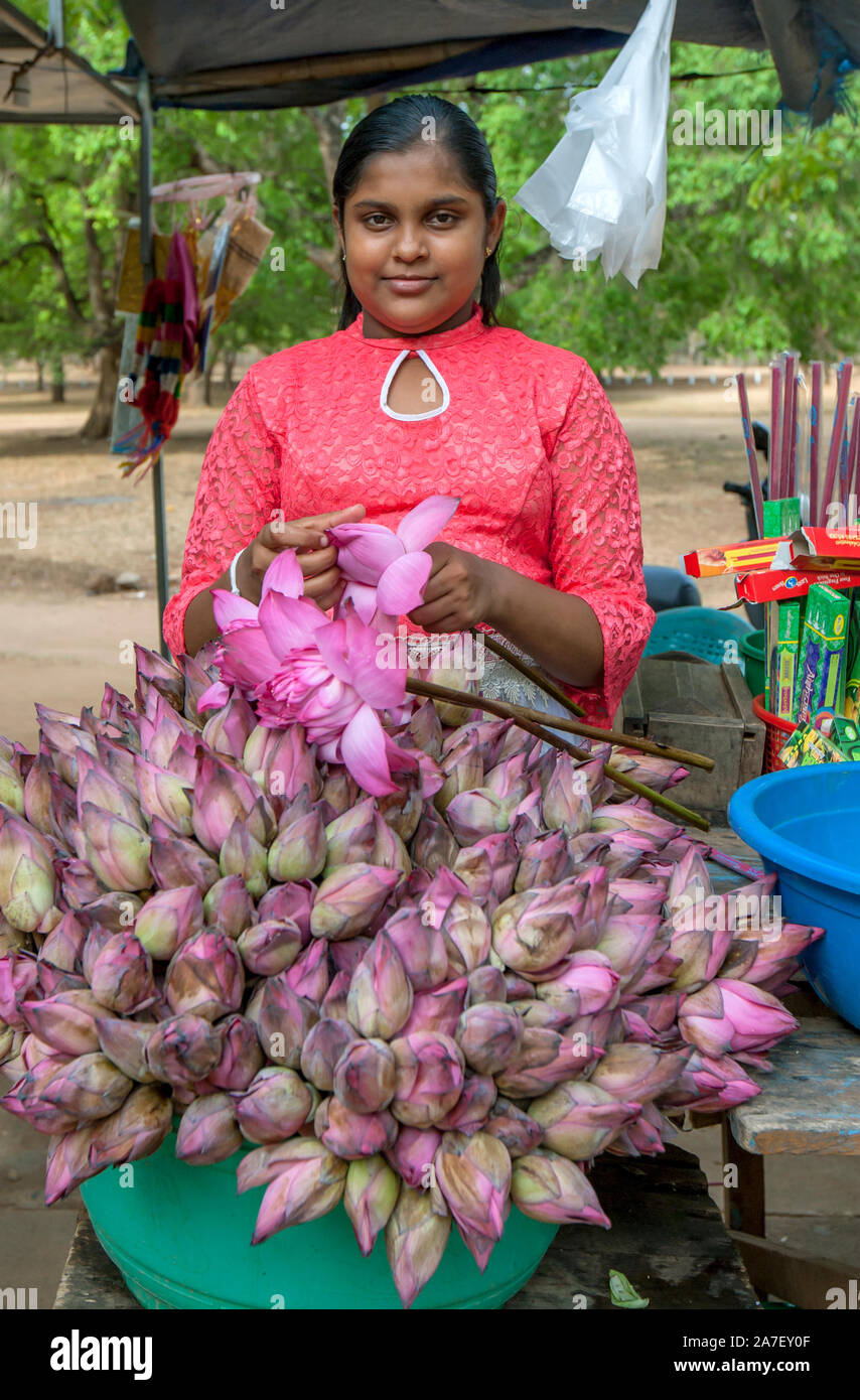 A lady selling pink lotus flowers at the Kataragama temple complex in ...