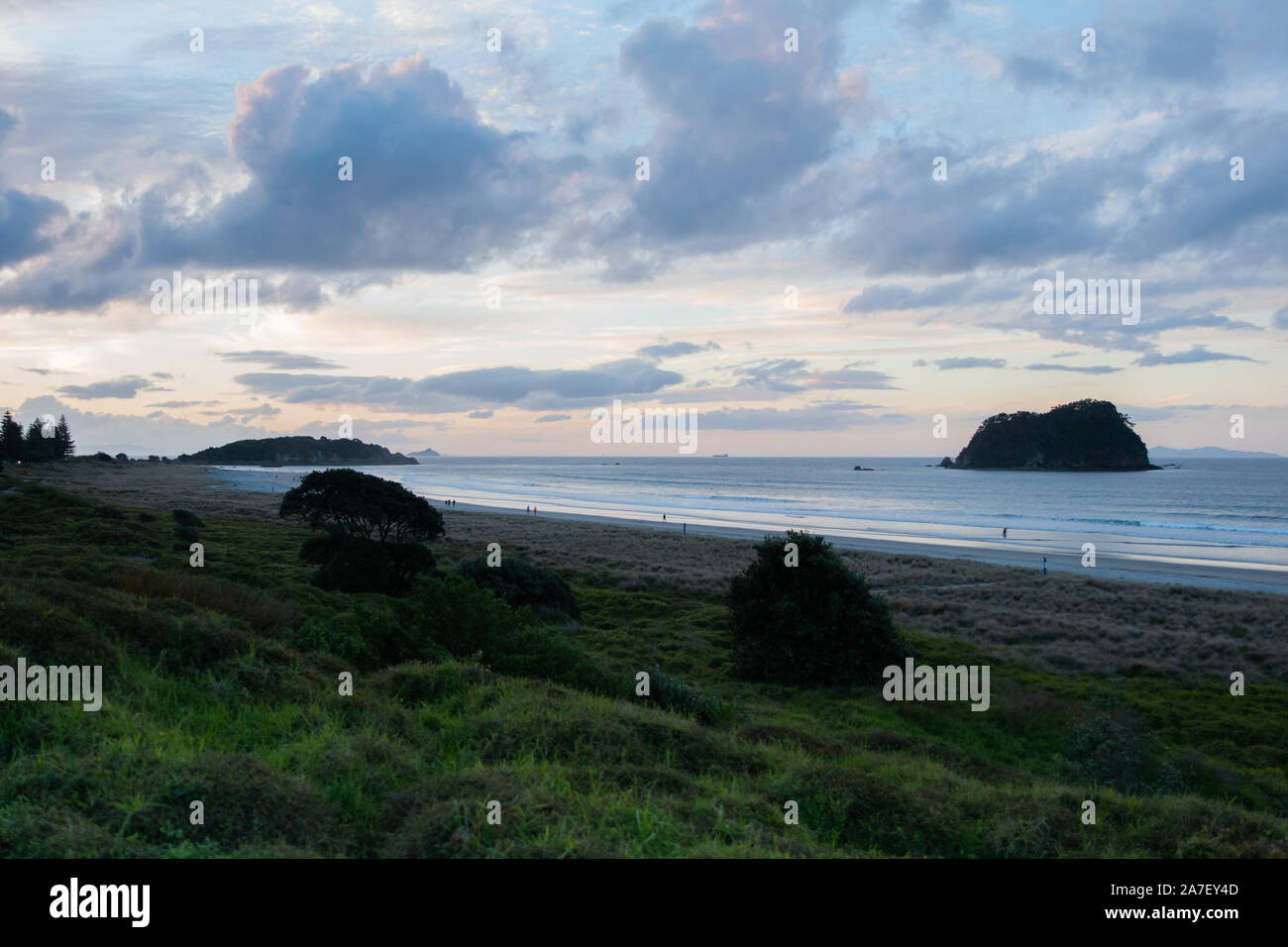 Mount Manganui Beach, New Zealand Stock Photo - Alamy