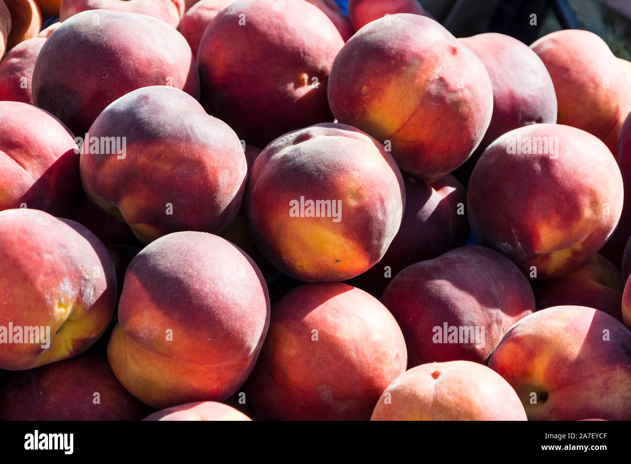 fig peach. saturn peaches. flat peaches harvest. many peaches. Fresh ...