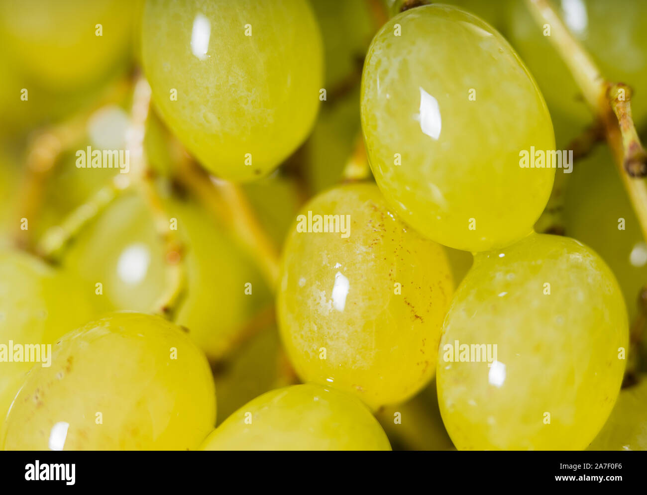 food background from ripe green grape texture Stock Photo - Alamy