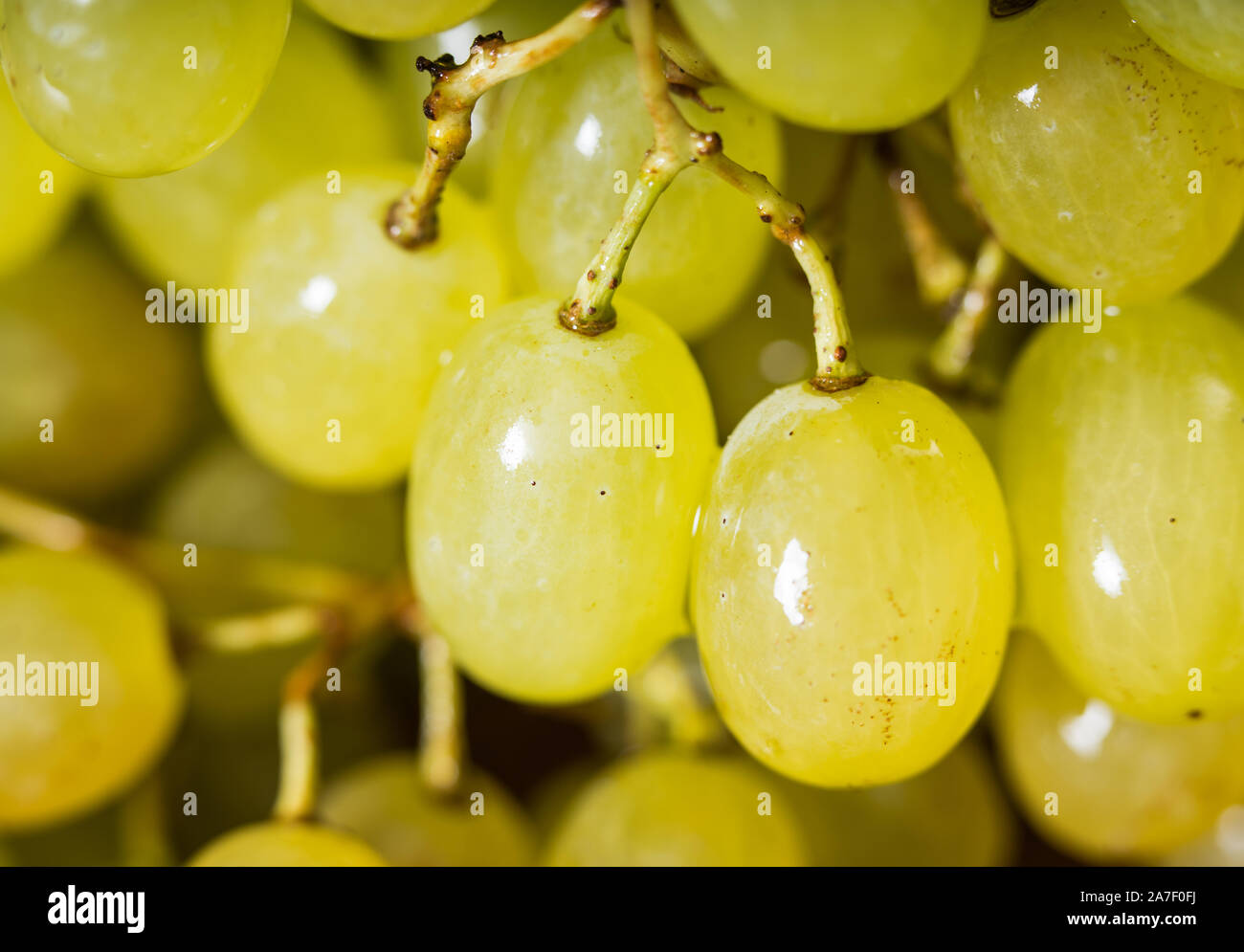 food background from ripe green grape texture Stock Photo - Alamy