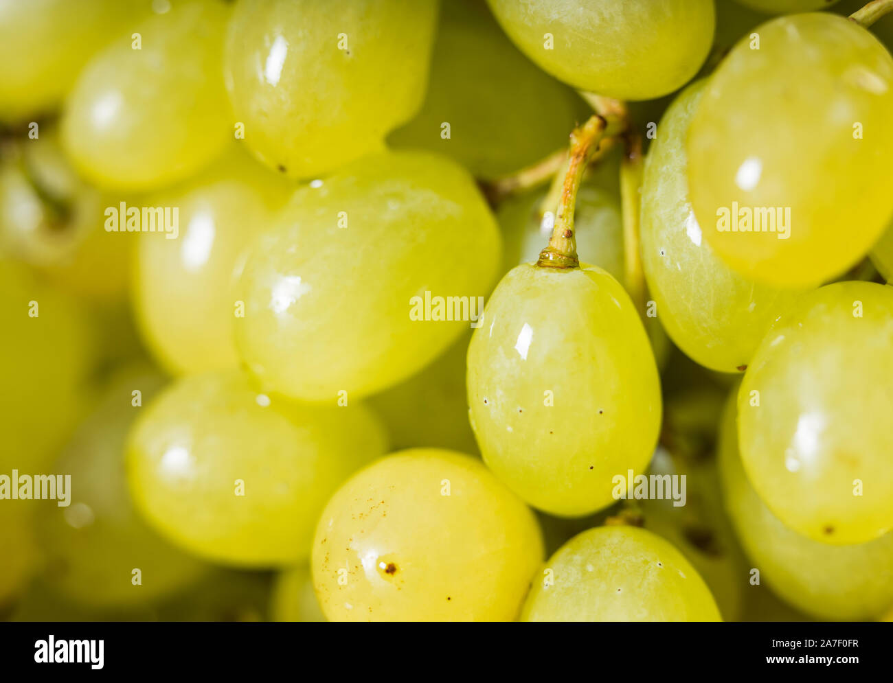 Green Grape Texture