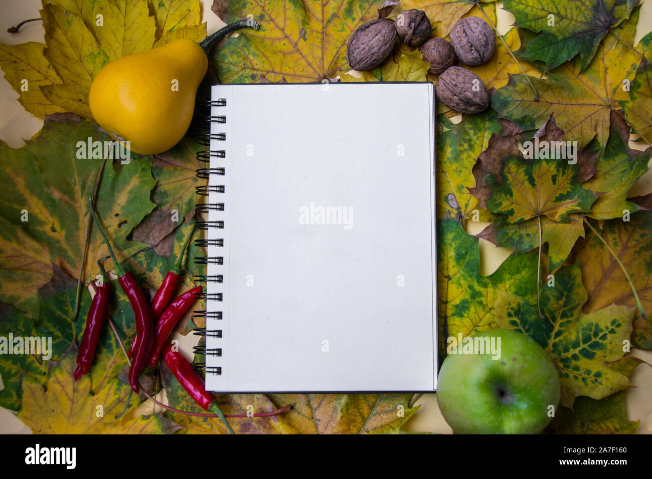 White paper for text, copy space, beautiful fallen yellow, green and ...