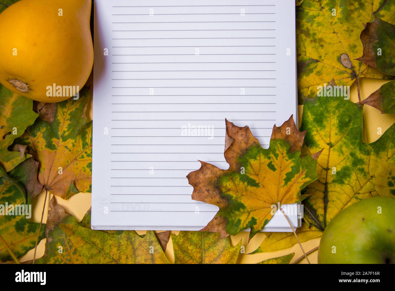 White paper for text, copy space, beautiful fallen yellow, green and ...