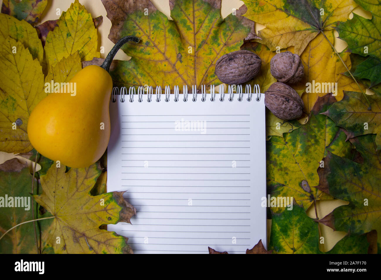 White paper for text, copy space, beautiful fallen yellow, green and ...