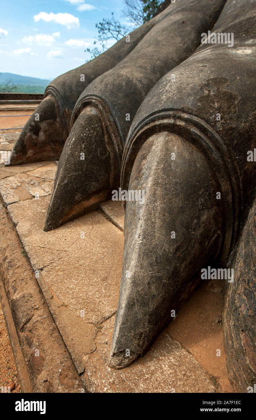 The incredible detail of one of the ancient stone carved lion paws ...