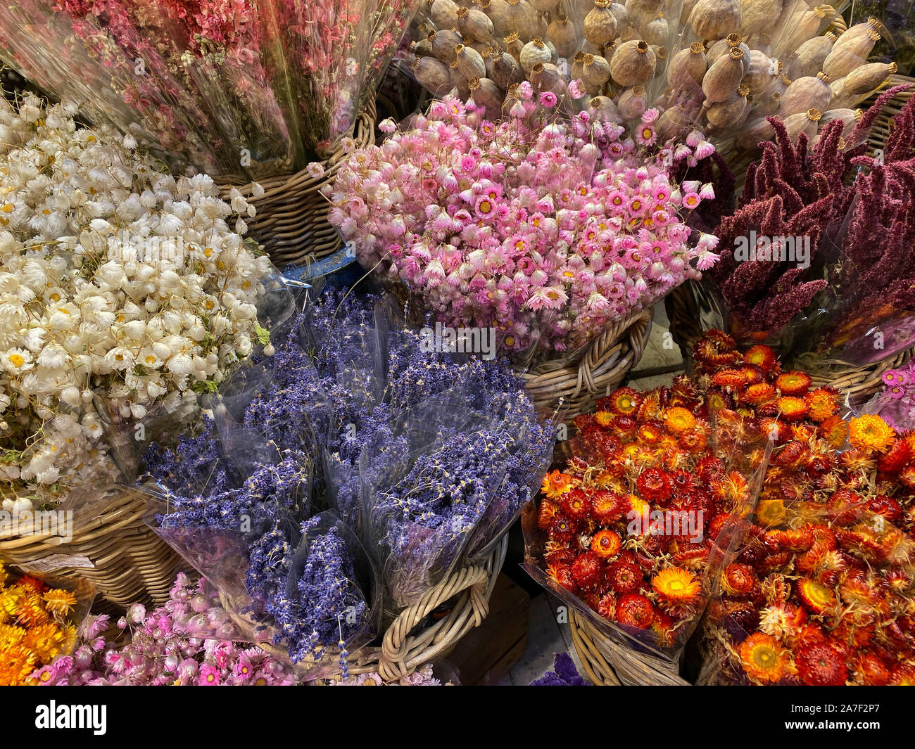 Flower Market in Amsterdam. It is the only floating flower market in ...