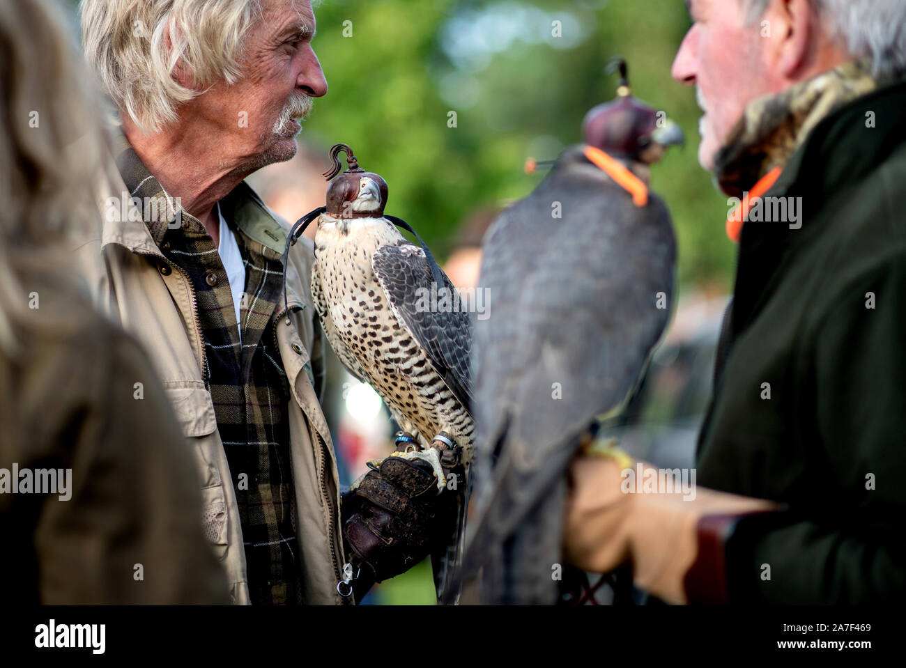 Liebenau, Germany. 26th Oct, 2019. Falconers stand before beginning of ...