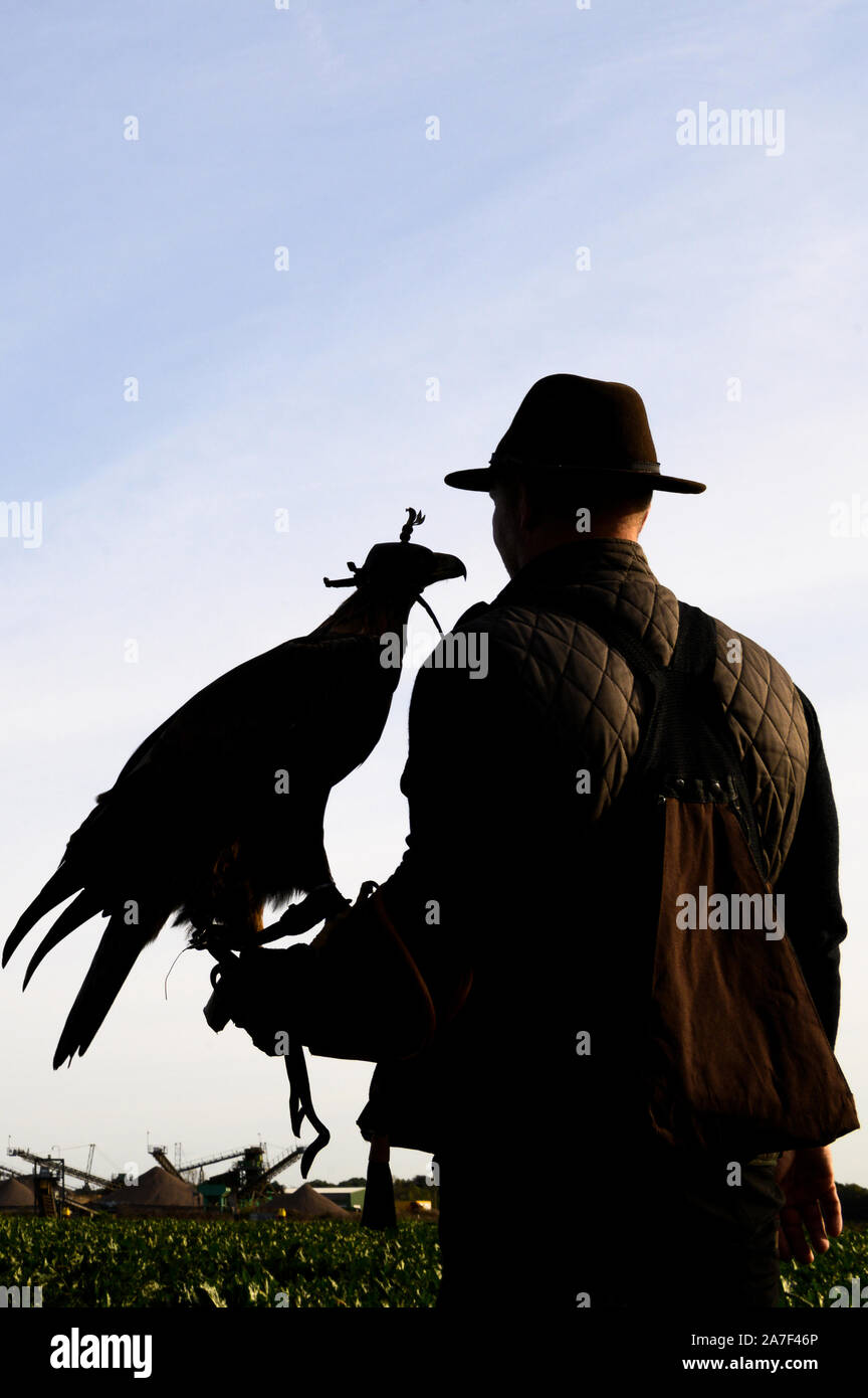Liebenau, Germany. 26th Oct, 2019. The silhouette of André Knapheide ...