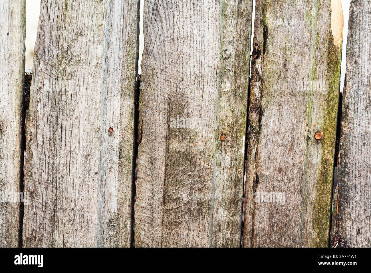 The wood texture with natural patterns. background Stock Photo - Alamy