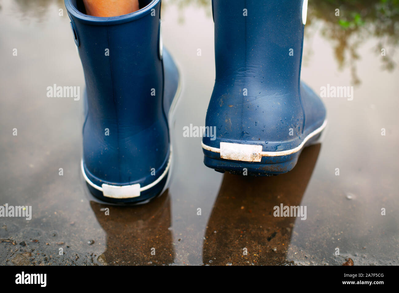 Man in blue rubber boots walking through the puddle. Back view Stock ...