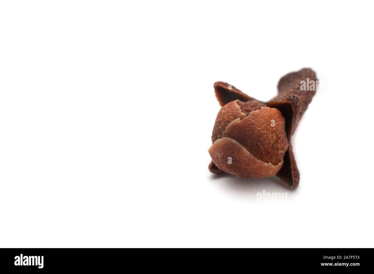 Medium shot single white Cut Out Stock Images & Pictures - Alamy