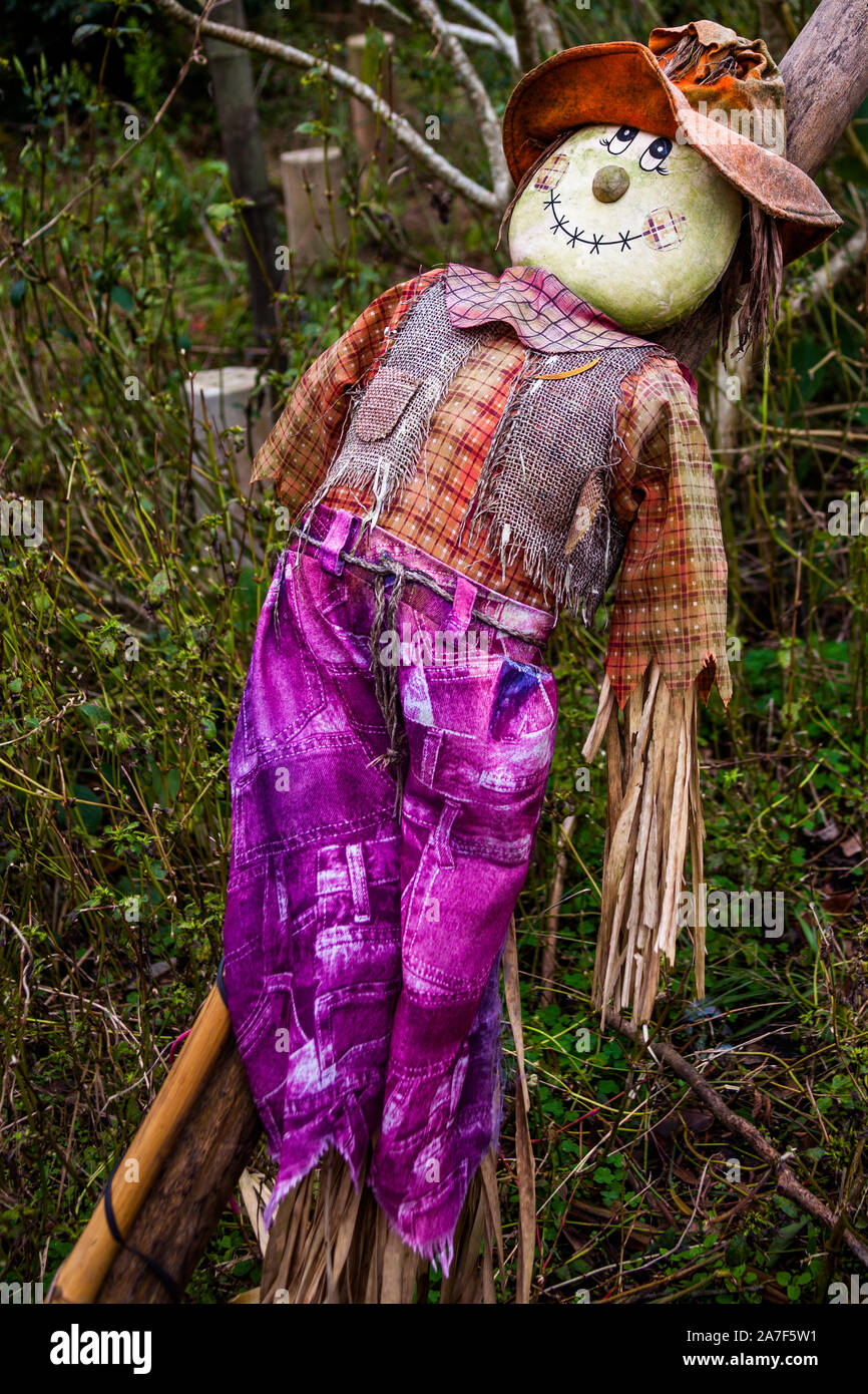 Stuffed scarecrow hi-res stock photography and images - Alamy
