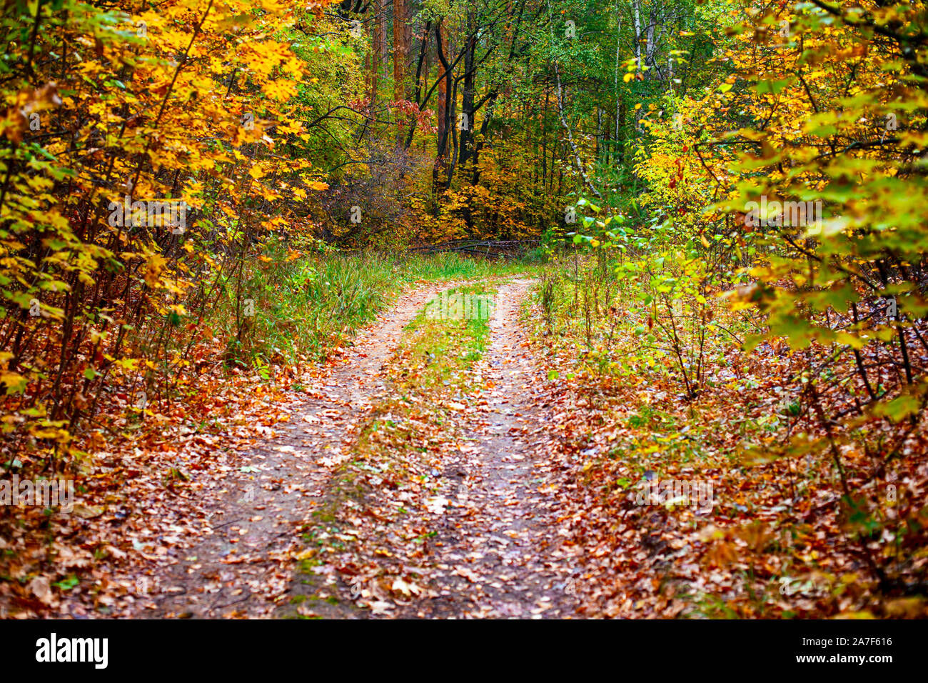Double Path High Resolution Stock Photography and Images - Alamy