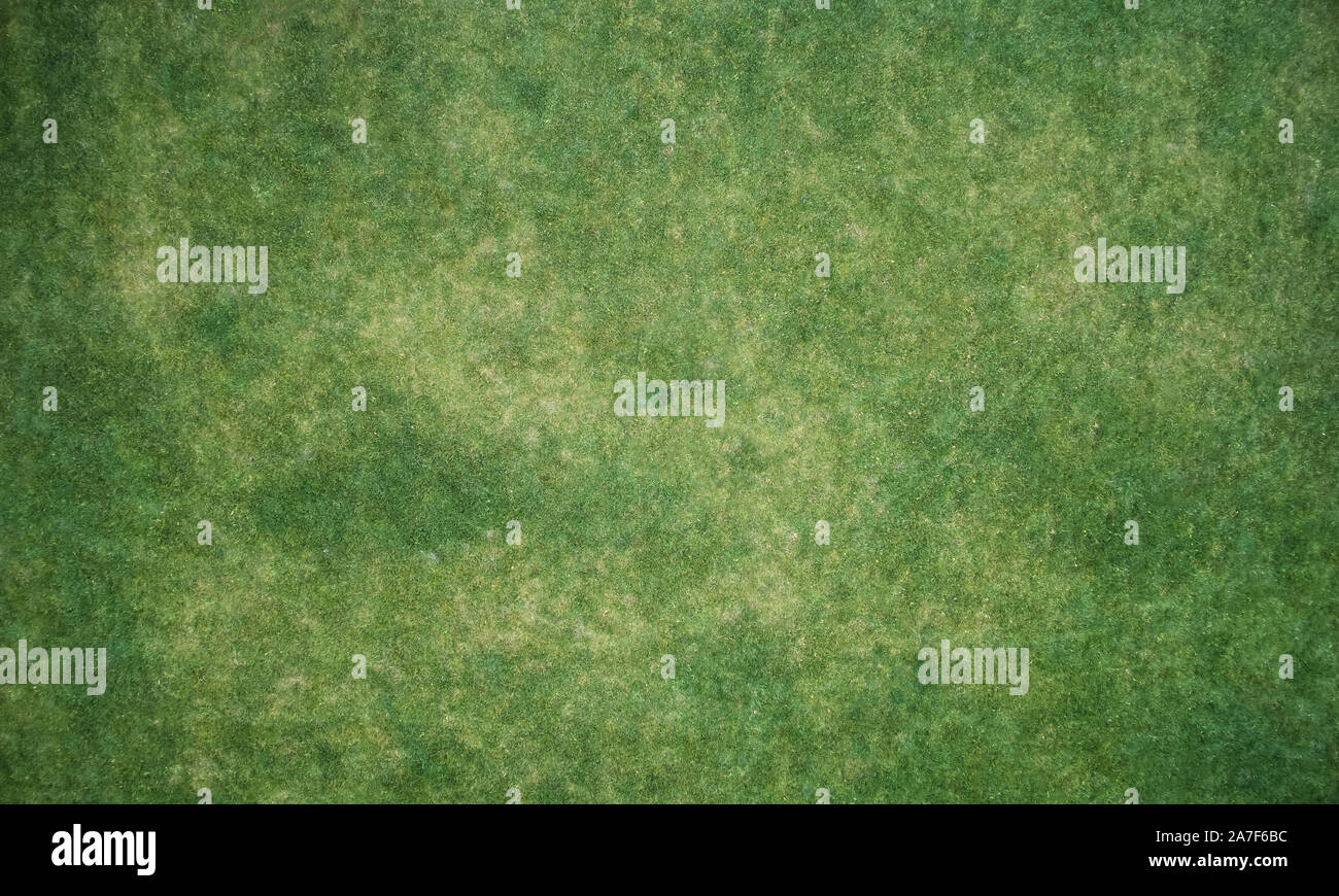 Green grass meadow texture above top view with different color spots ...