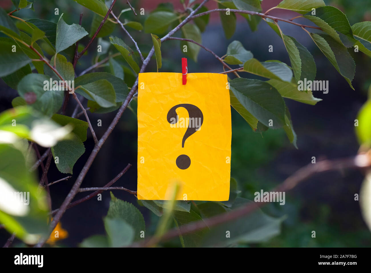 Image question mark on yellow hi-res stock photography and images - Alamy