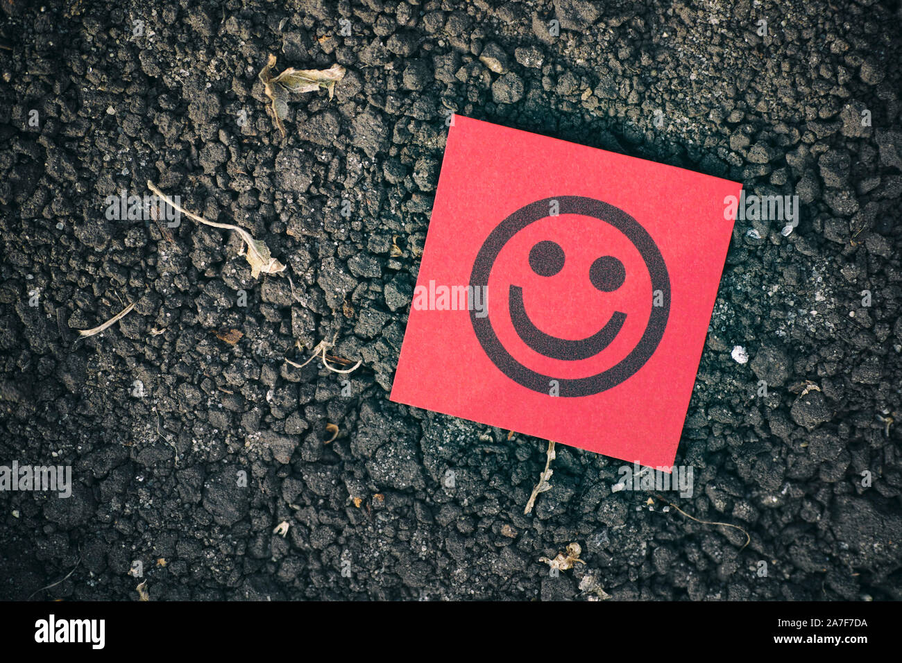 Feeling soil hi-res stock photography and images - Alamy